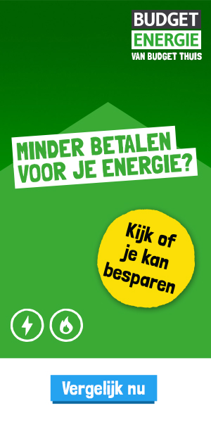 Budget Energie tarieven 2025: per kWh en m3 gas Budget Energie tarieven 2025: per kWh en m3 gas